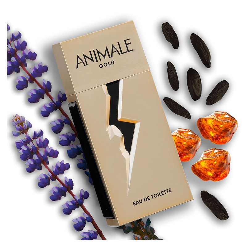 Perfume Animale Gold Animale Masculino - EDT - Época Cosméticos | Época ...